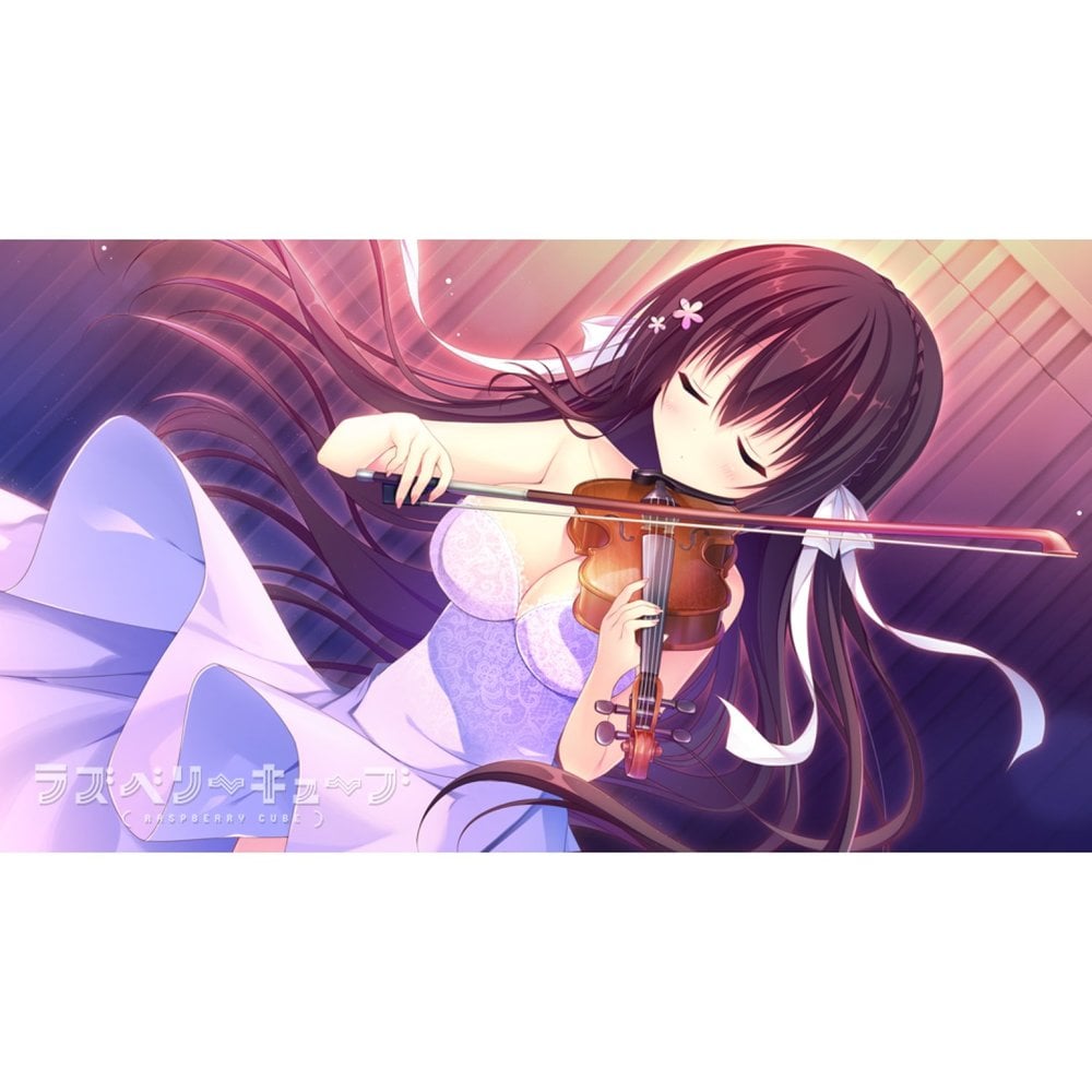 Raspberry Cube | ラズベリーキューブ | 遊戲 | Nintendo Switch | 4560431863675