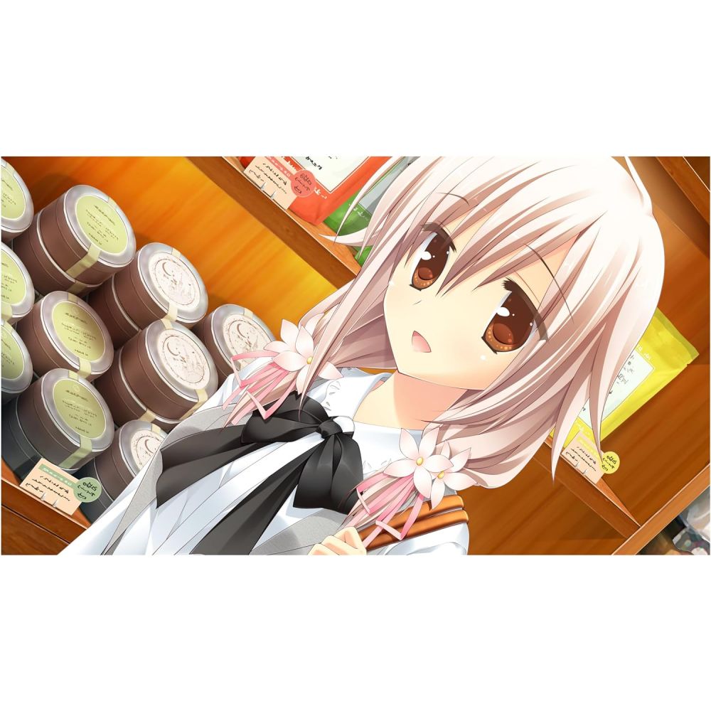 PriministAr | PriministAr -プライミニスター- | 遊戲 | PlayStation 4 | 4935066607381