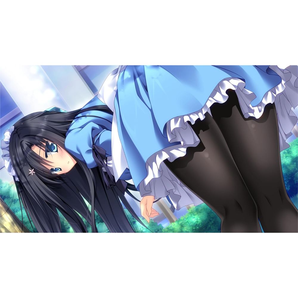 PriministAr [限定版] | PriministAr -プライミニスター- 完全限定生産版 | 遊戲 | Nintendo Switch | 4935066607428